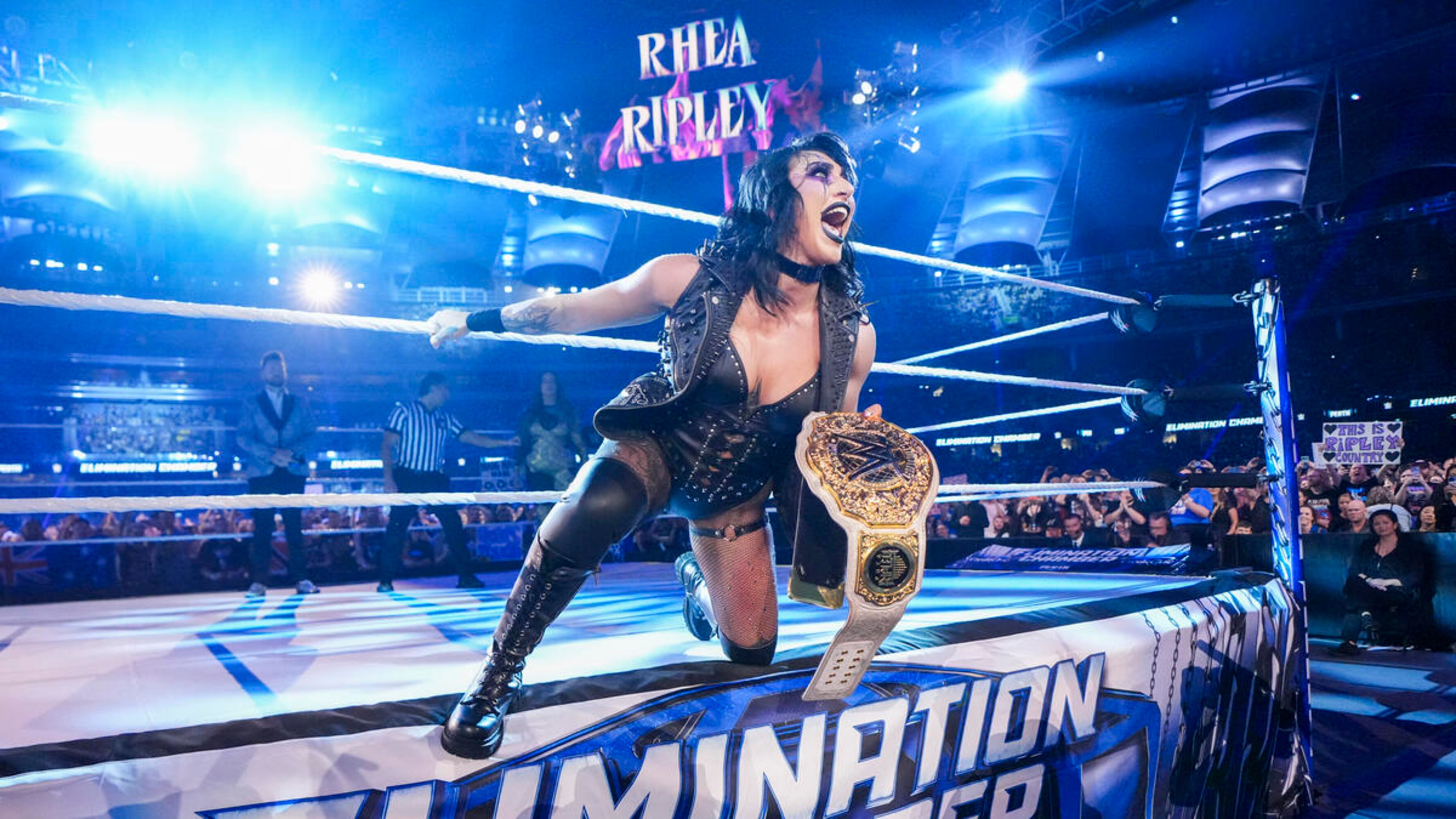 Ranking the Last 10 WWE Elimination Chamber PLEs
