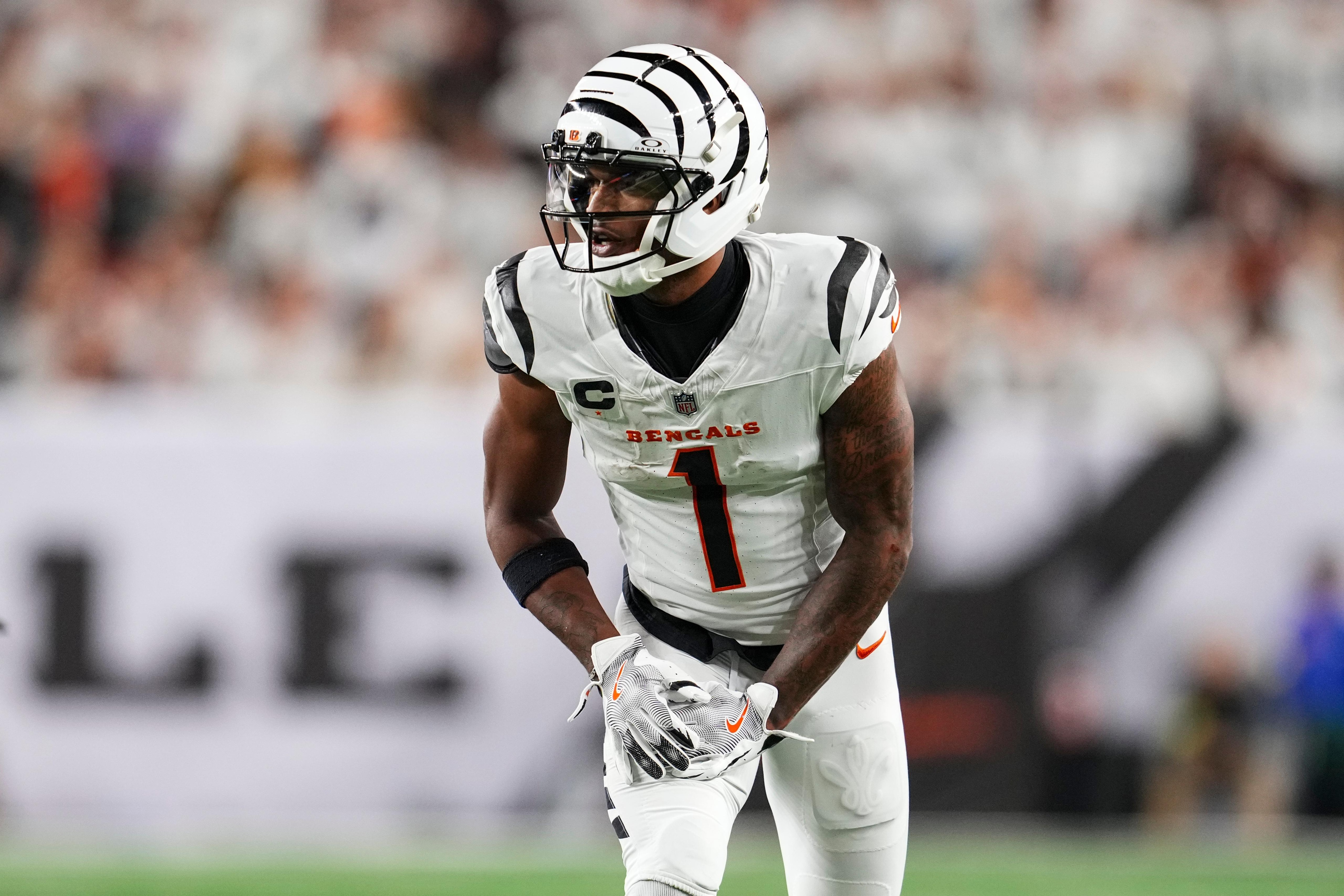 Week 11 Fantasy Football Rankings Positional Breakdown for Flex and PPR