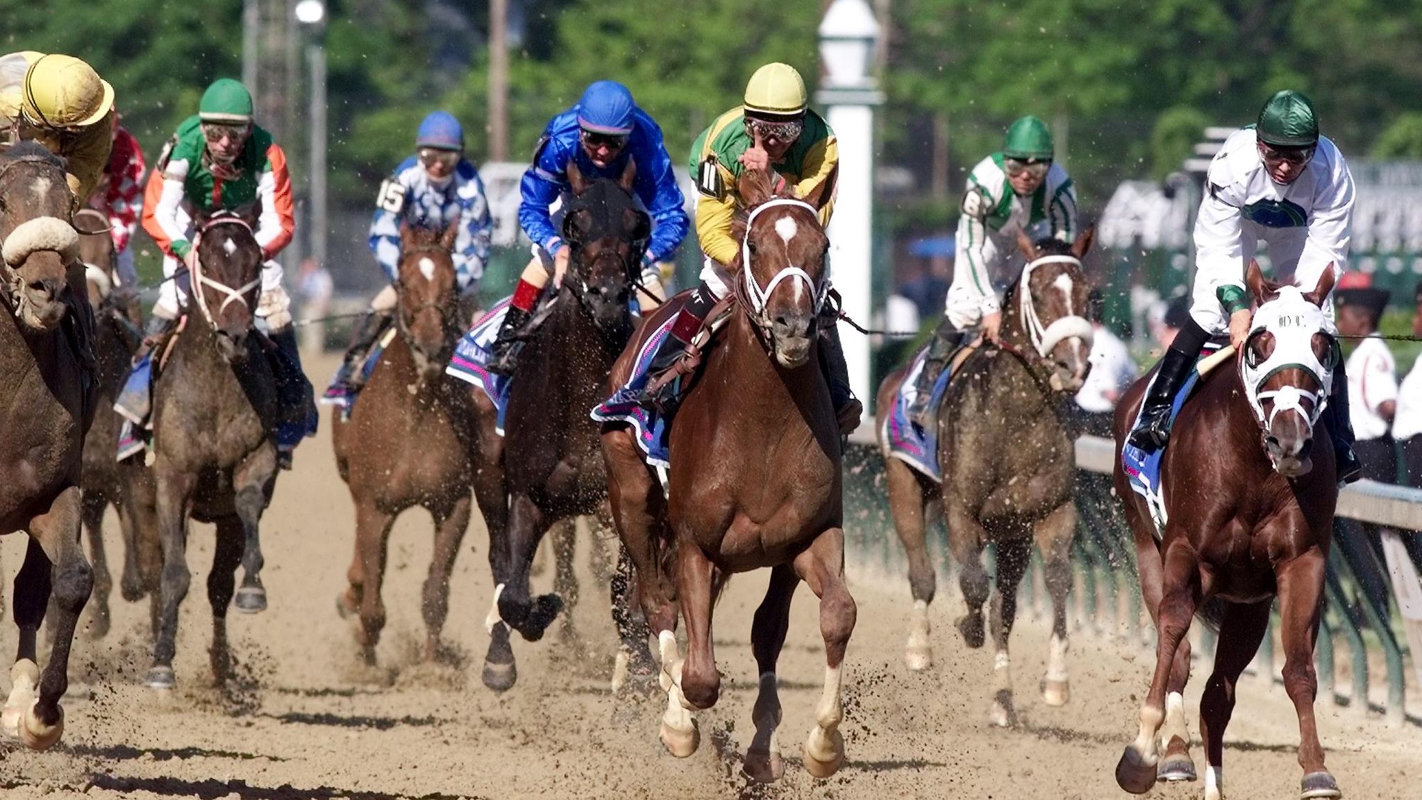 Ranking the Best Kentucky Derby Horse Names of All Time