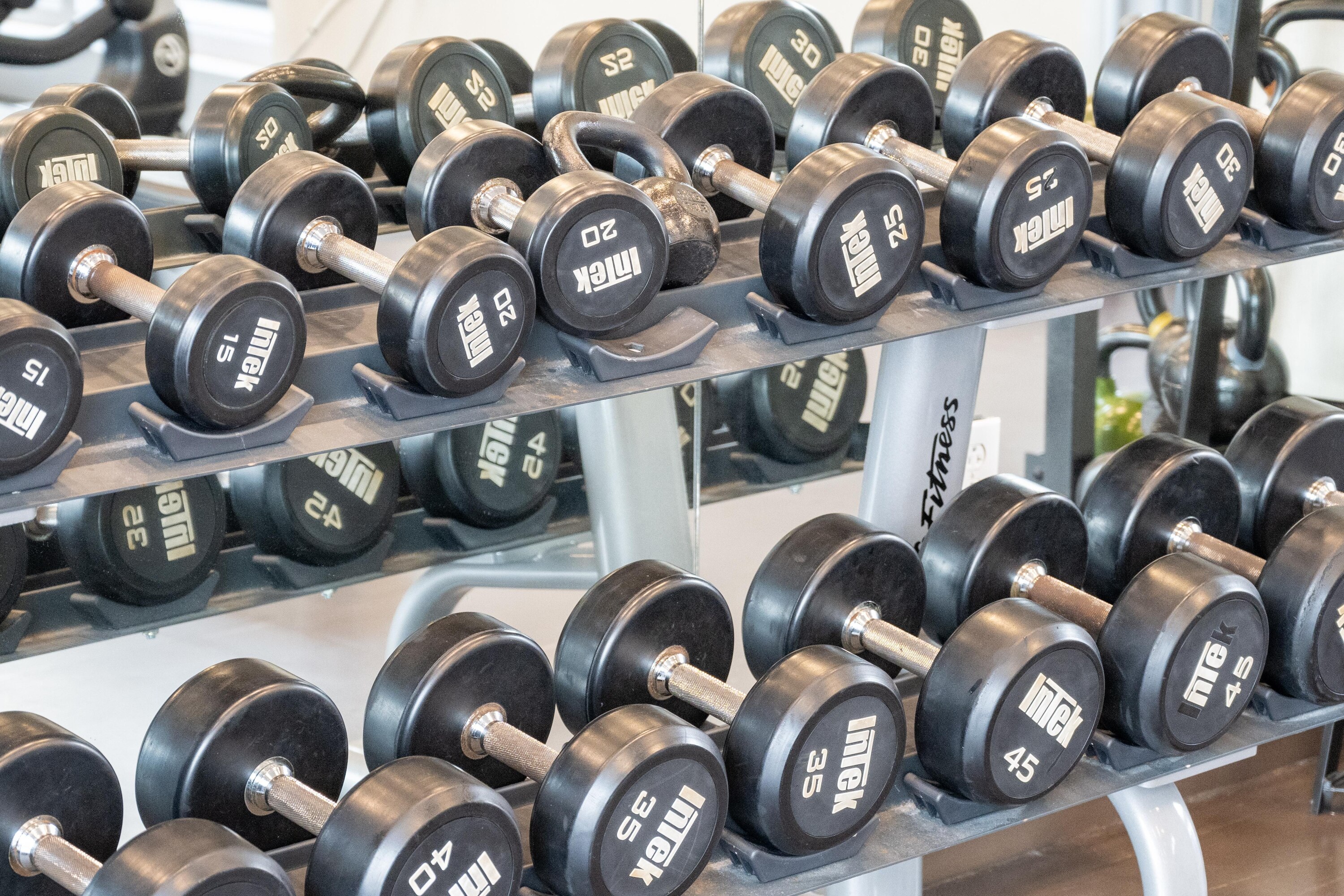 Bodybuilder Jodi Vance Dies at 20 After Attending Arnold Sports Festival