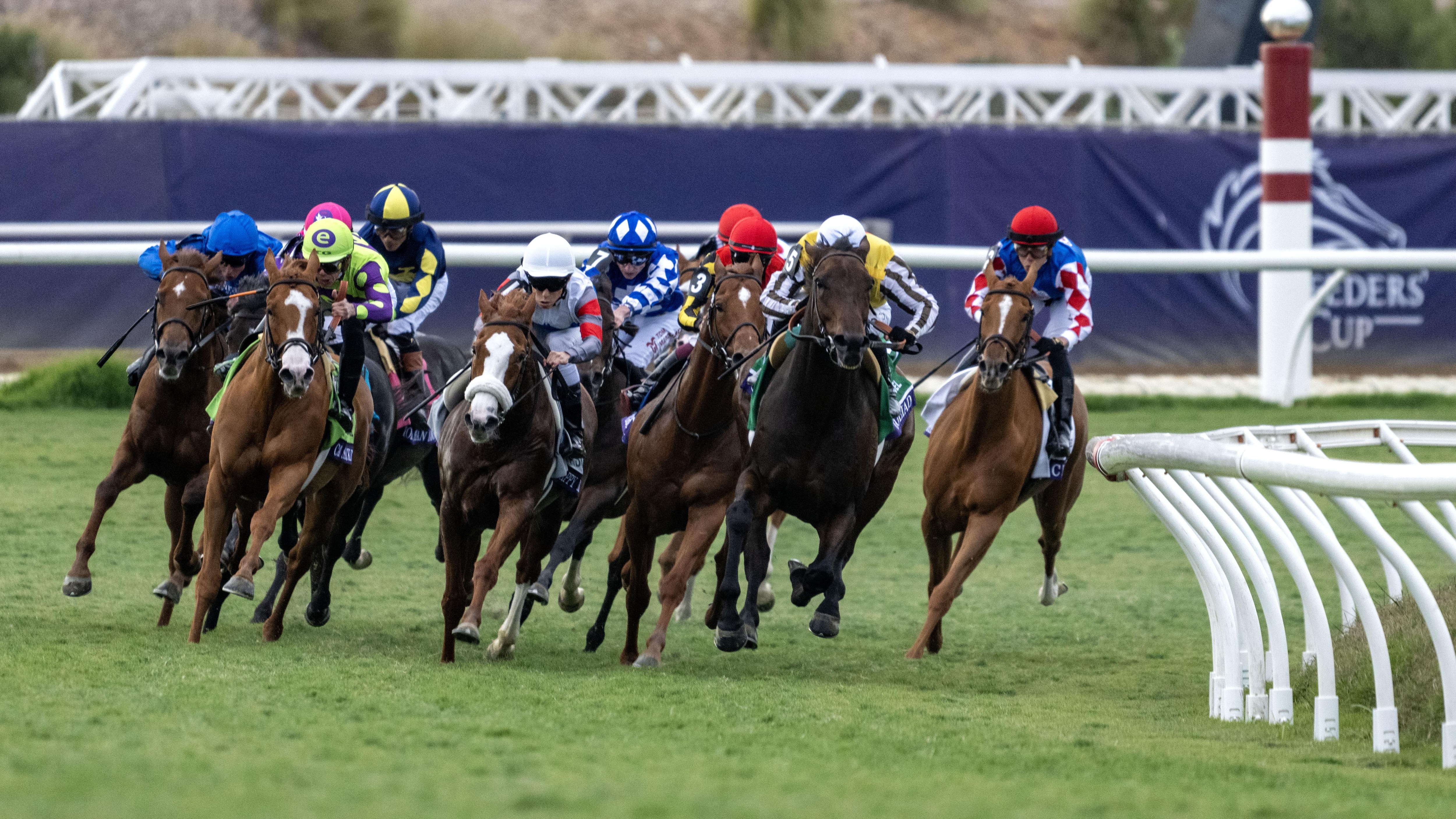 Breeders' Cup 2025 Odds and Predictions for All Races
