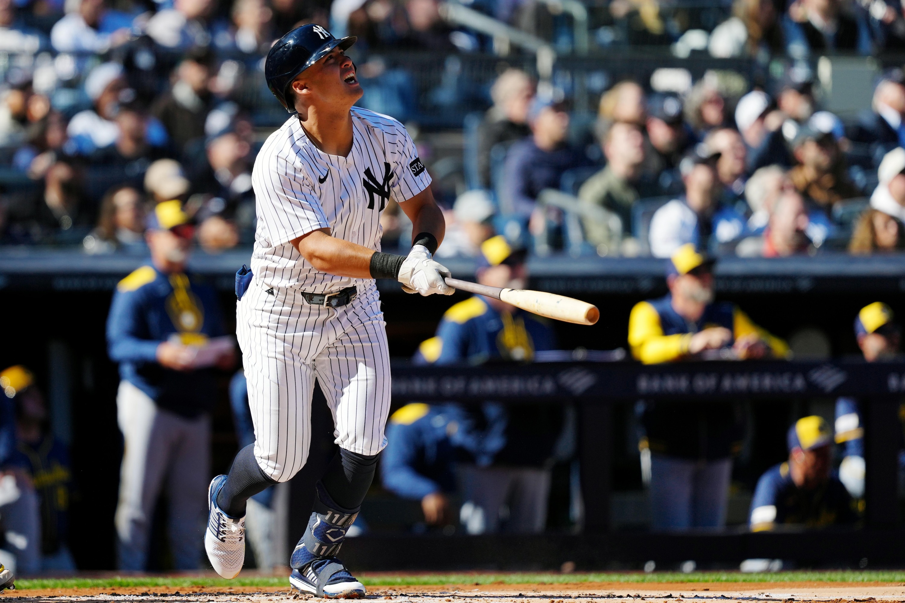 Yankees' Custom Bats for Players with New Sweet Spot Don't Violate ...