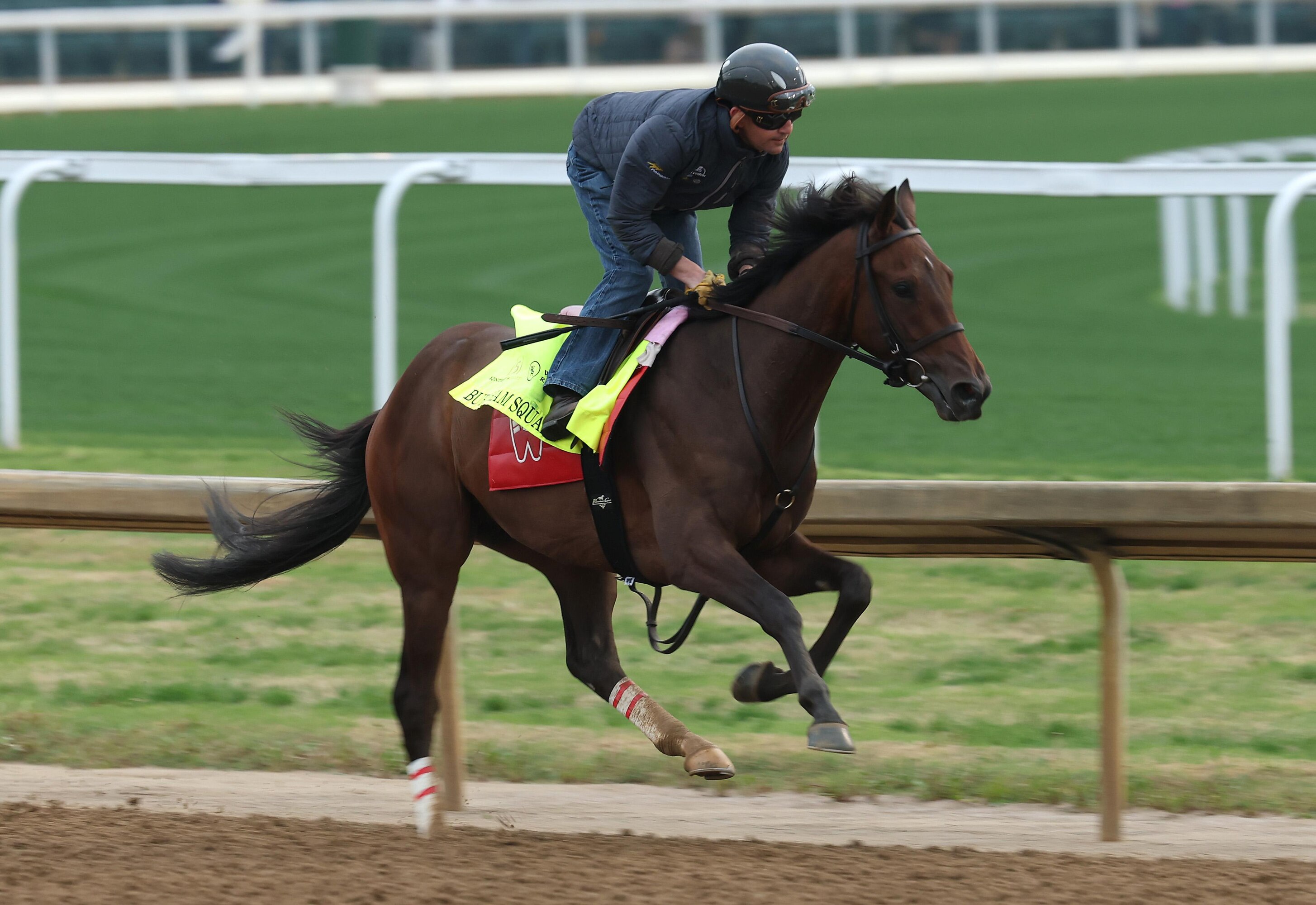 Kentucky Derby 2025 Odds, Dark-Horse Contenders and Predictions After ...