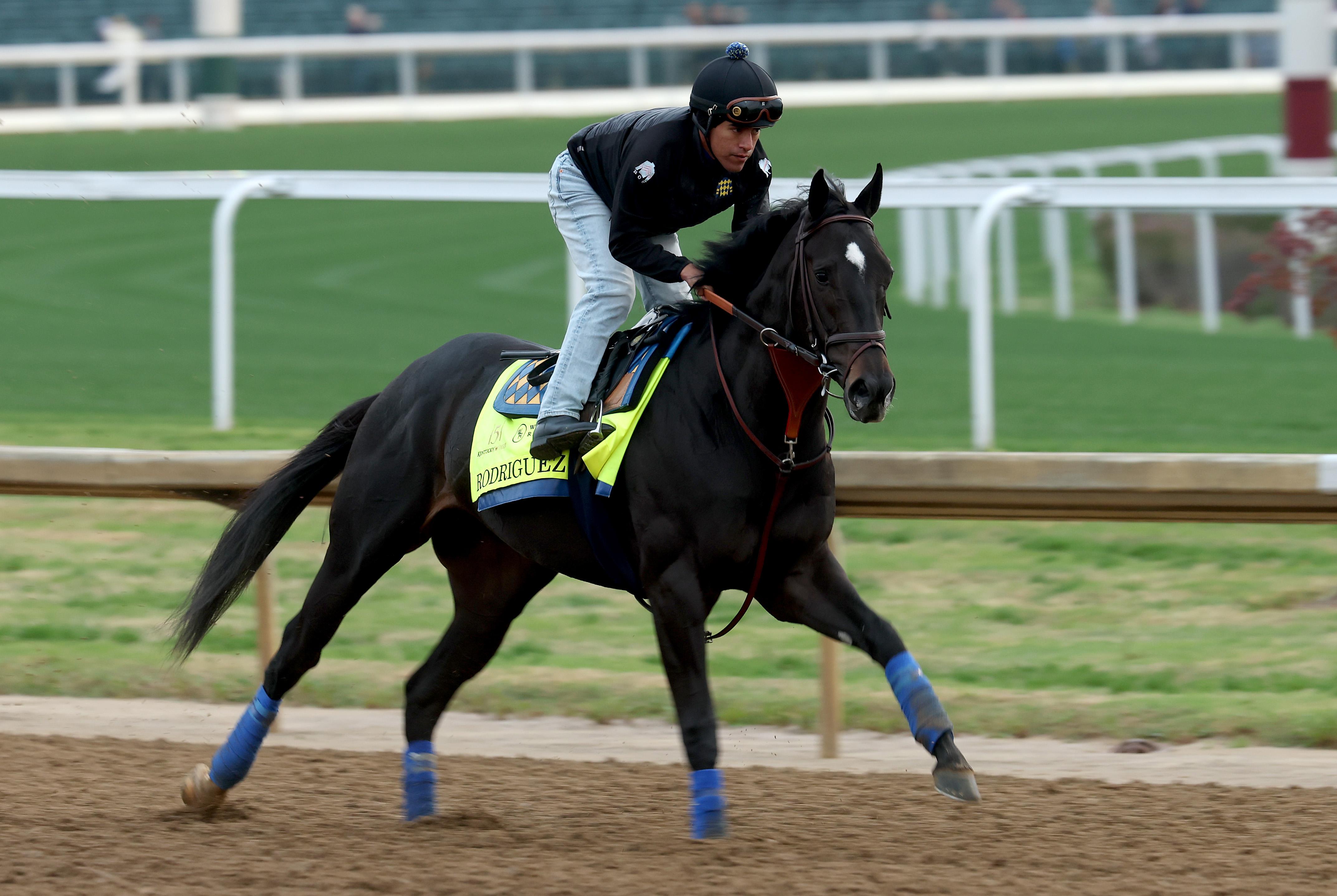 Kentucky Derby 2025 Contenders, Favorites and Lineup Odds After Post ...