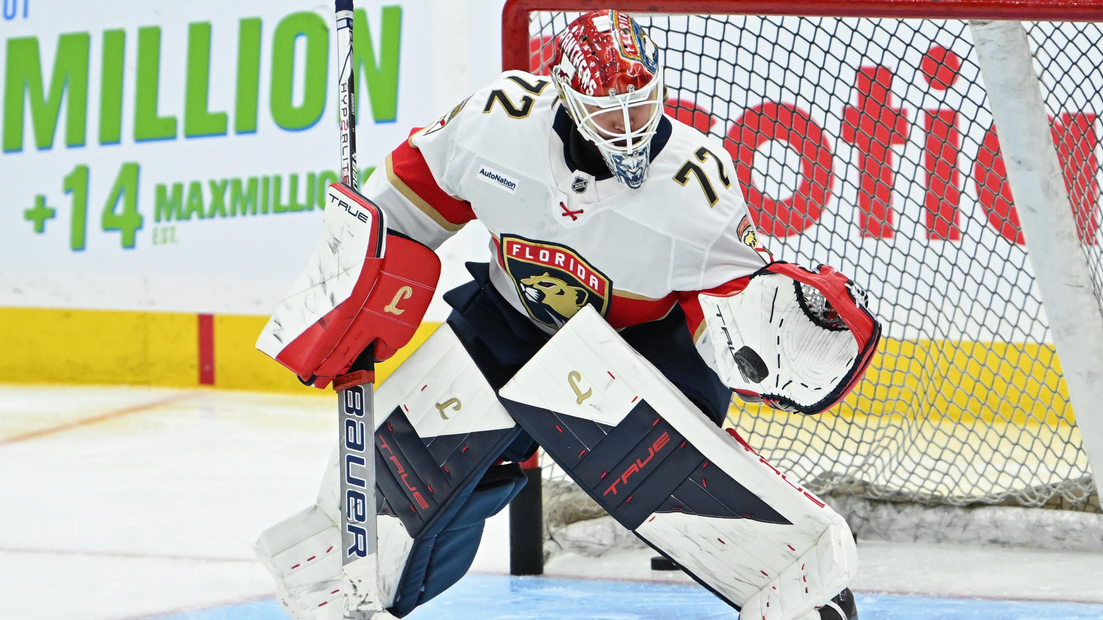 1 Word for Every 2025 NHL Playoff Team Left