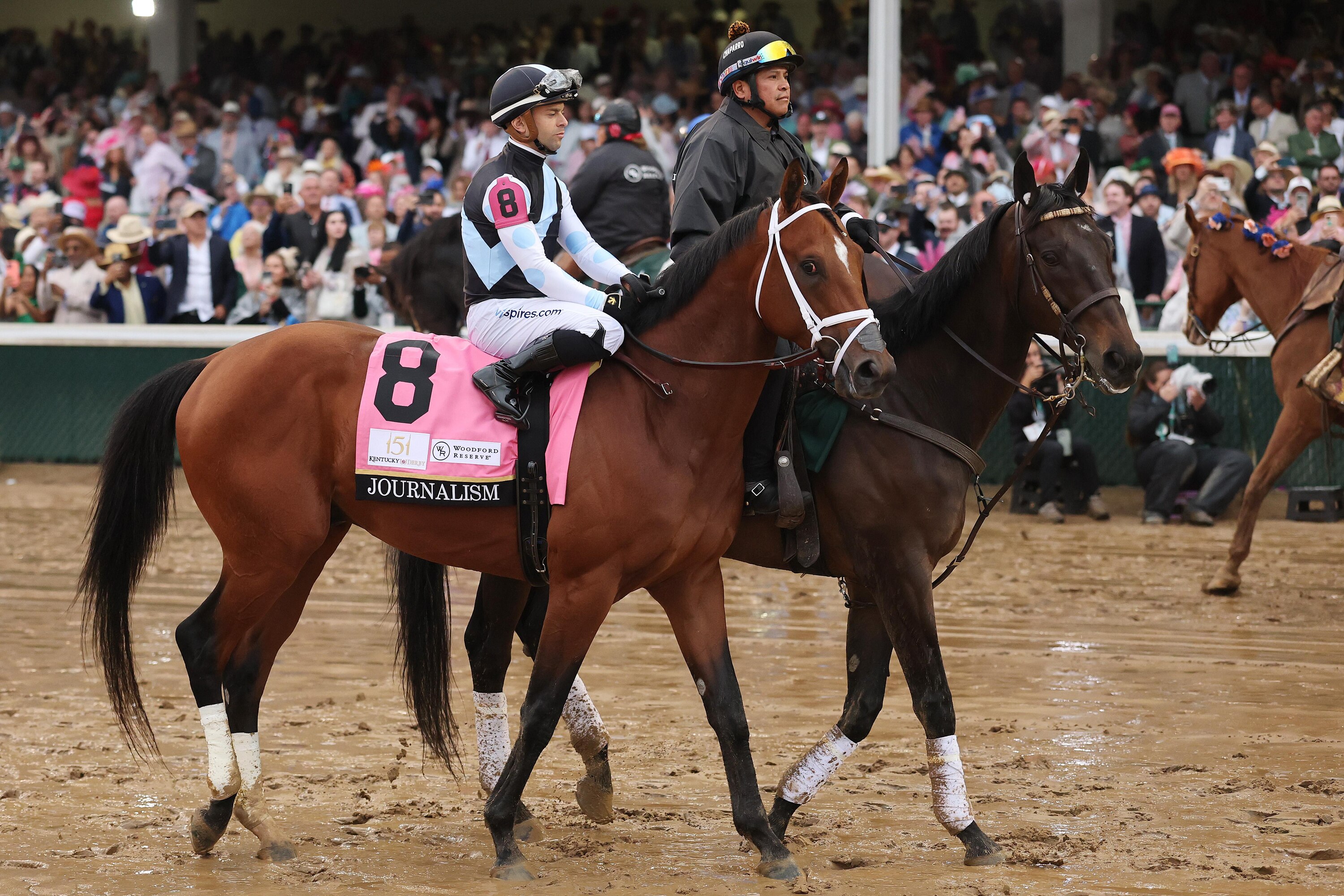 Preakness 2025 Post Positions and Complete Listing for Every Horse