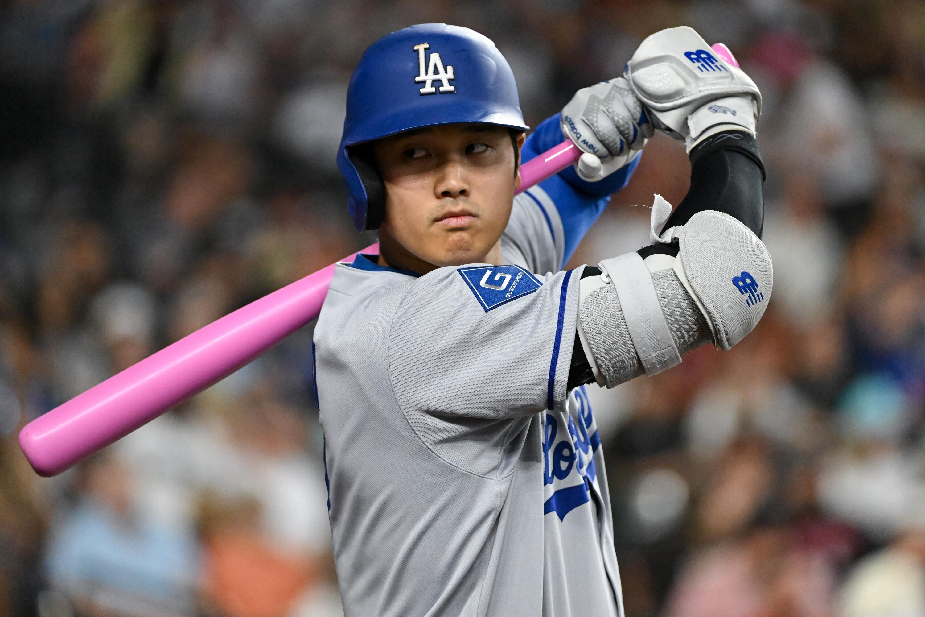 Dodgers' Shohei Ohtani Gifts Decoy 'Most Valuable Dog' Plaque for ...