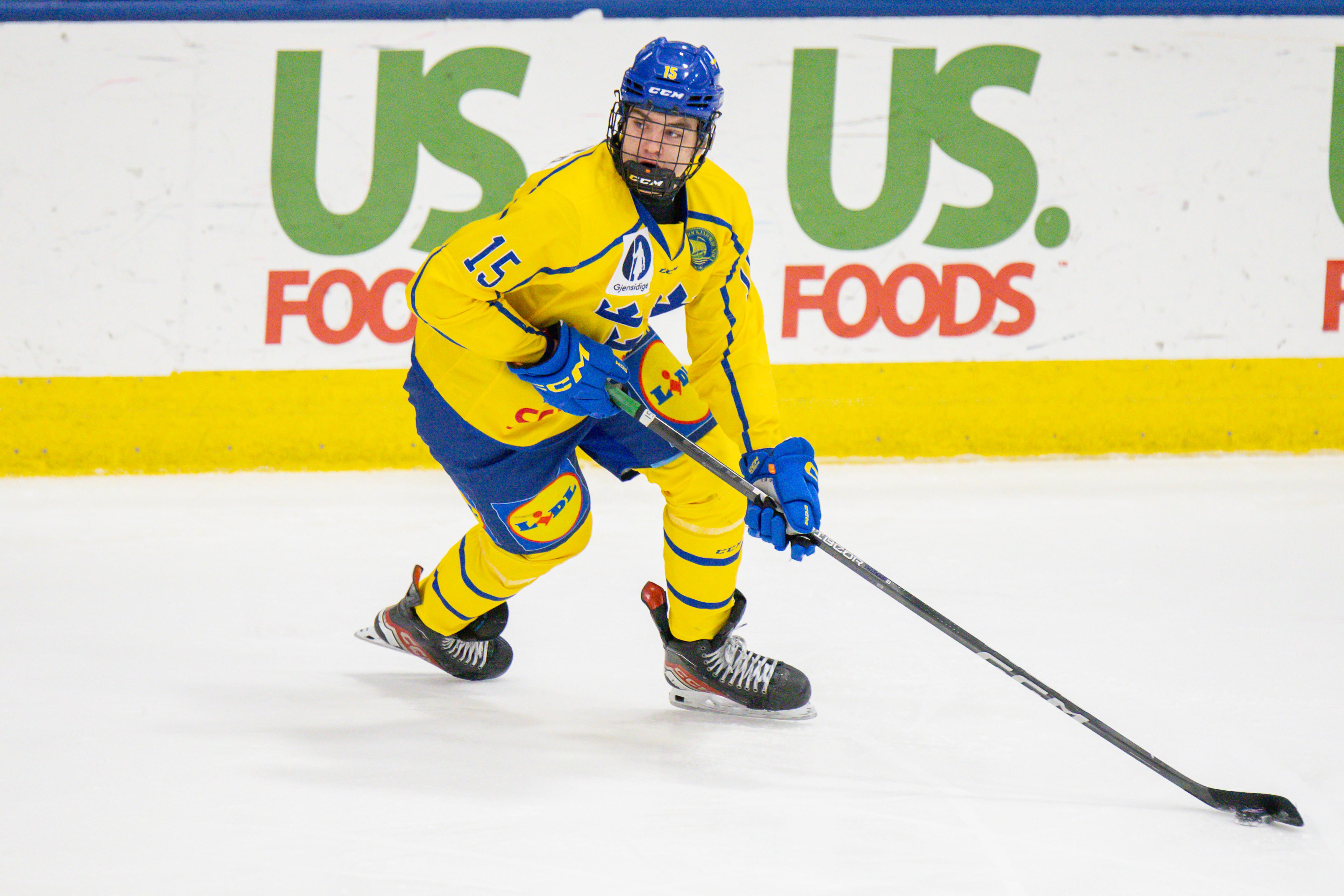 Anton Frondell 2025 NHL Draft Scouting Report