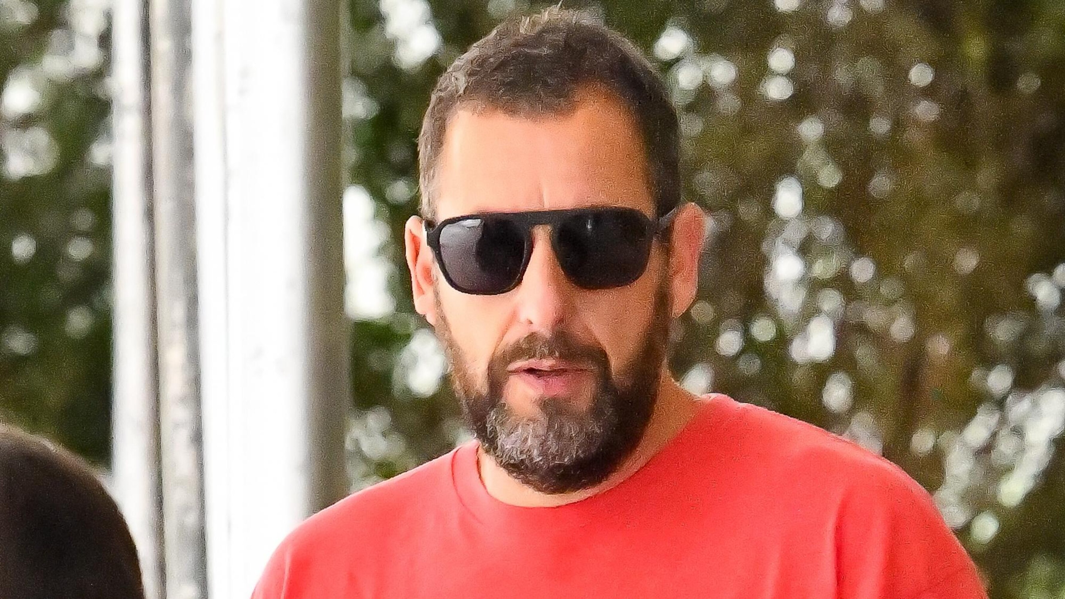 Adam Sandler Surprises Kraken After NHL Team Paid Tribute to Actor With ...