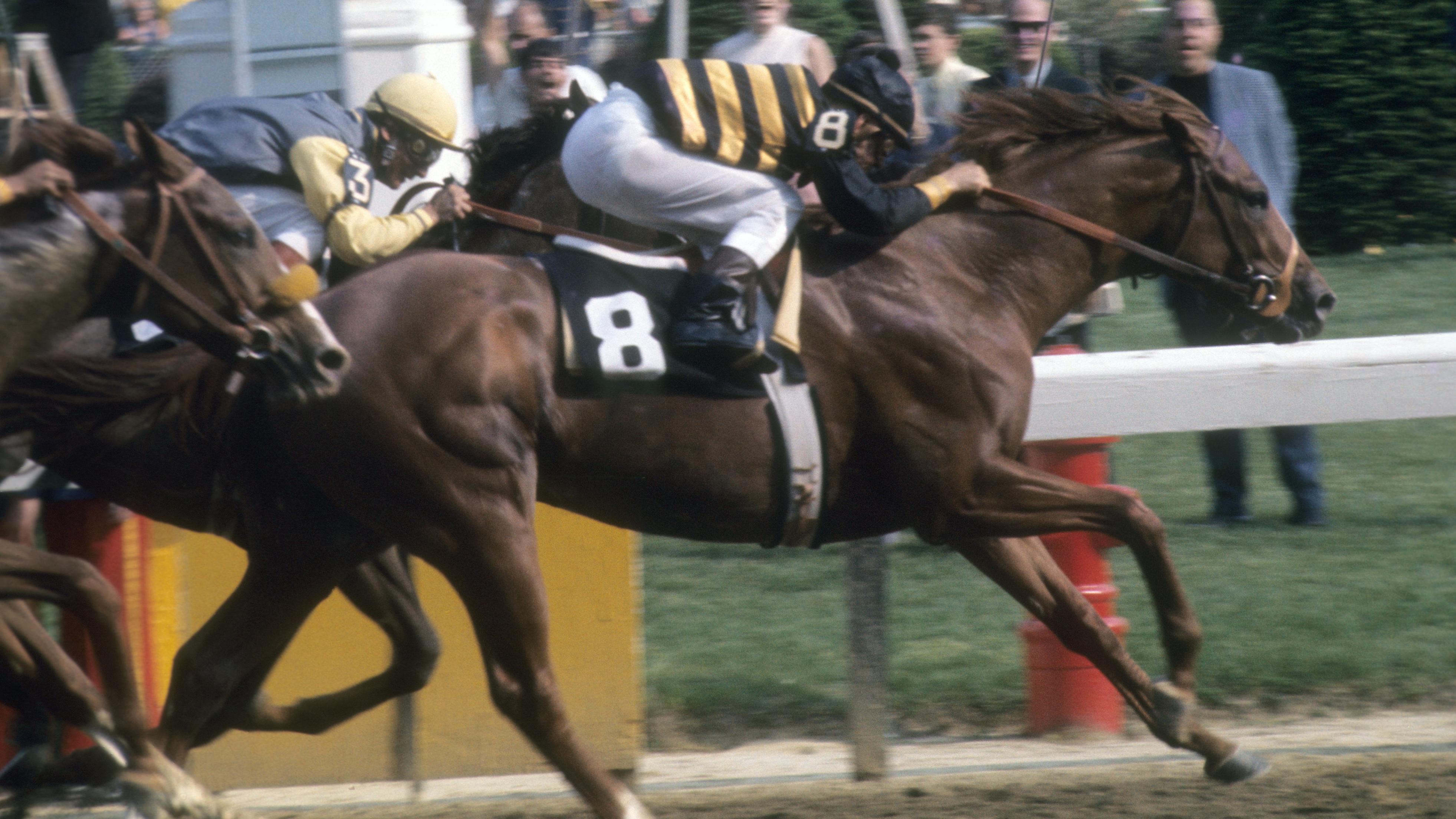 Ranking the Best Kentucky Derby Horse Names of All Time